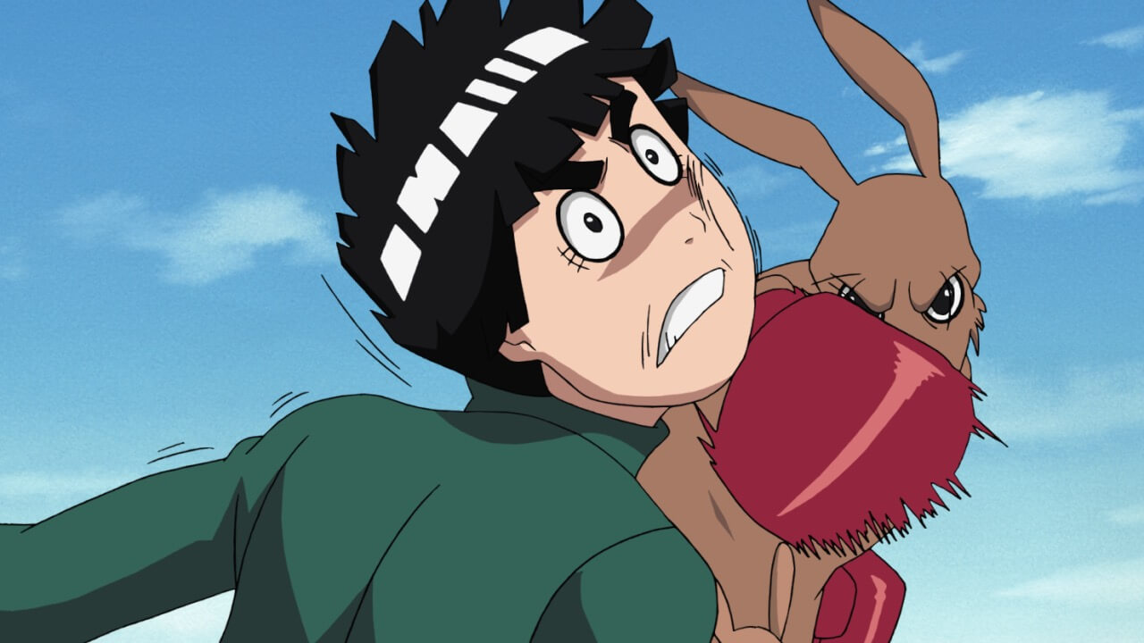 Animais Ninja Naruto