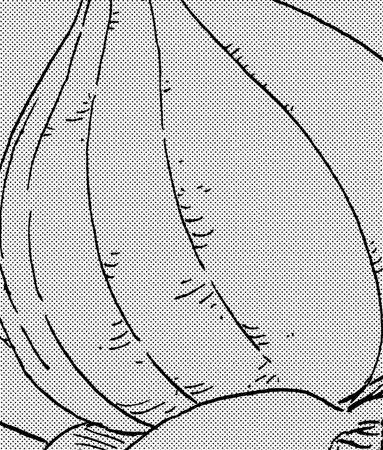 Boruto Database: The Process of Growing a Chakra Fruit | NARUTO ...